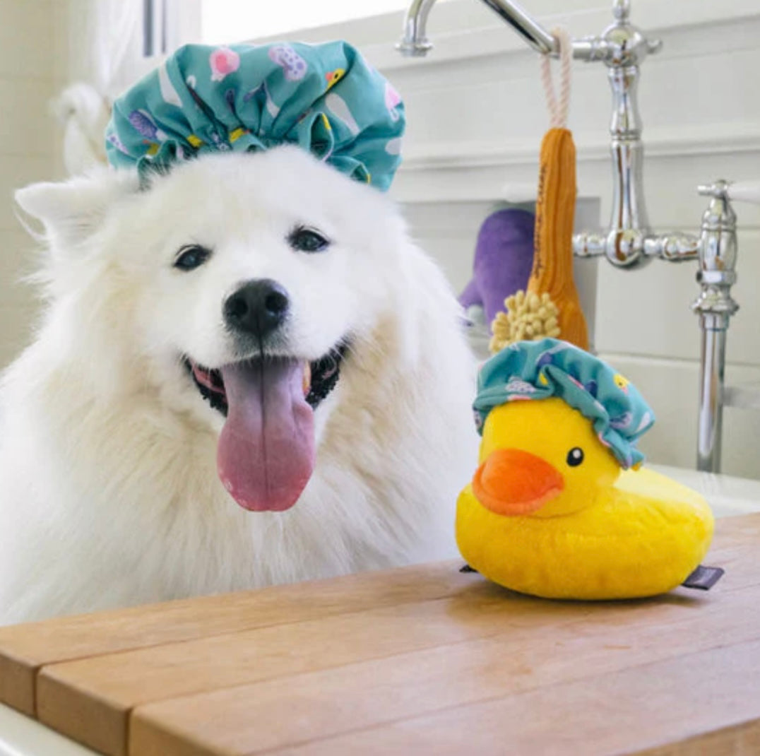 Splish Splash – Love From Betty