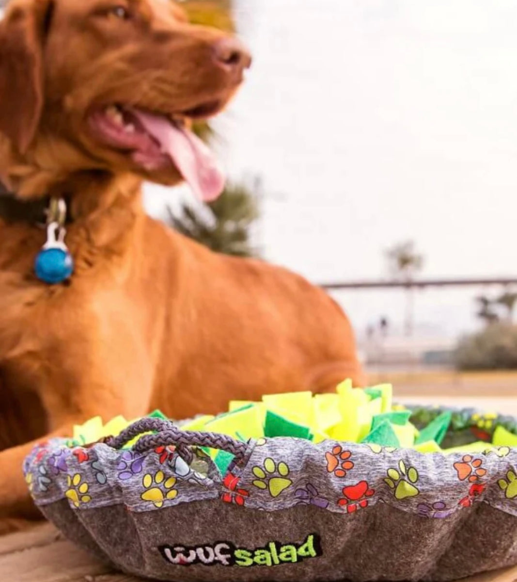 Snuffle Mats & Toys – Love From Betty