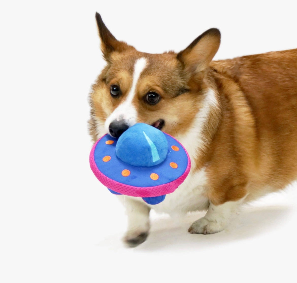 Space Paws UFO Dog Toy By Hugsmart – Love From Betty